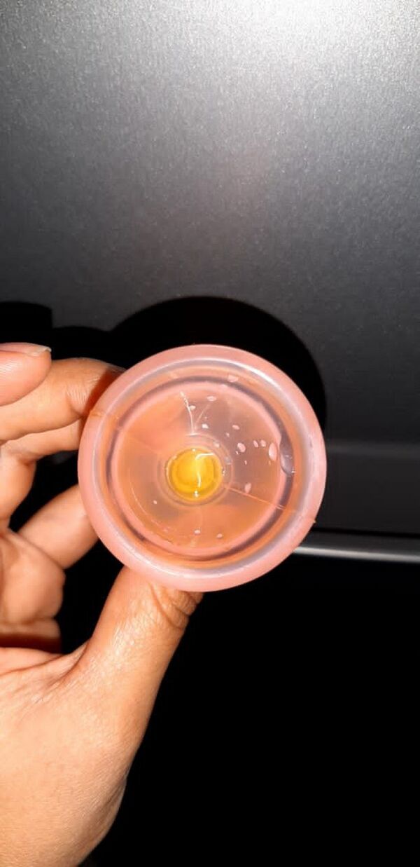 Protocol V - dioxipedia